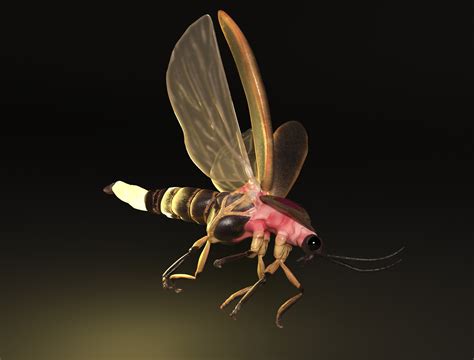Artstation Firefly Like Insect 3d Model For Education Experimentation Purposes Resources