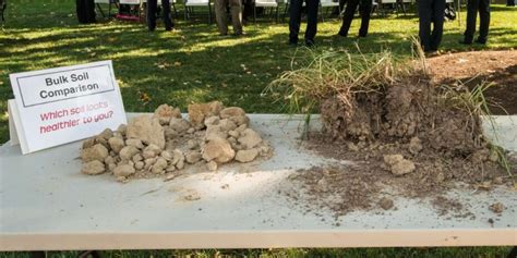 How To Fix Compacted Soil