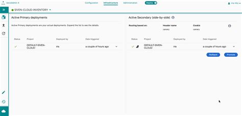 Side By Side Deployment Nevis Documentation