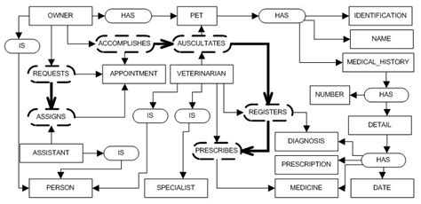 An Example Of Pre Conceptual Schemas Download Scientific Diagram