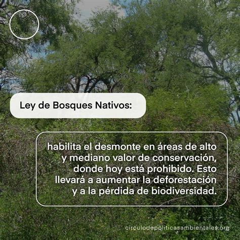 📢 Sobre El Proyecto De Ley Ómnibus Y Las Modificaciones A Regulaciones