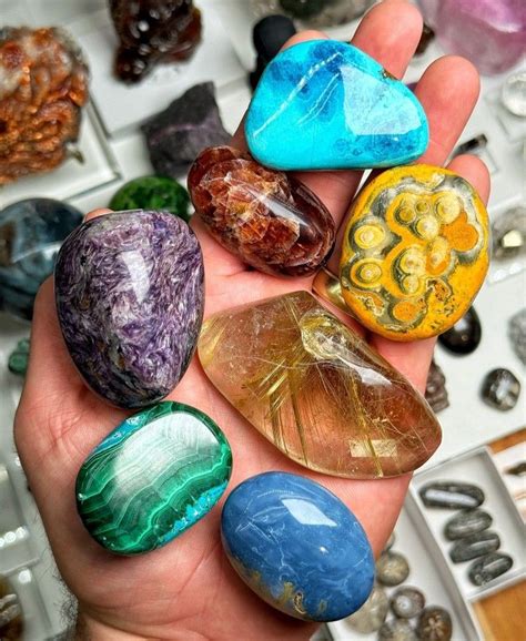 Pin By Jc Yakuza On Stone World Fossils Stone World Stone Fossils