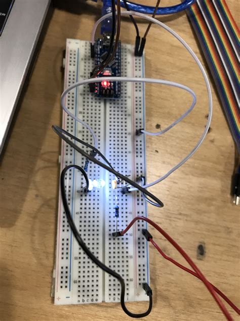 dynamic interactivity project