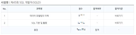 Sqld 합격 수기 Sql 개발자 비전공자 독학