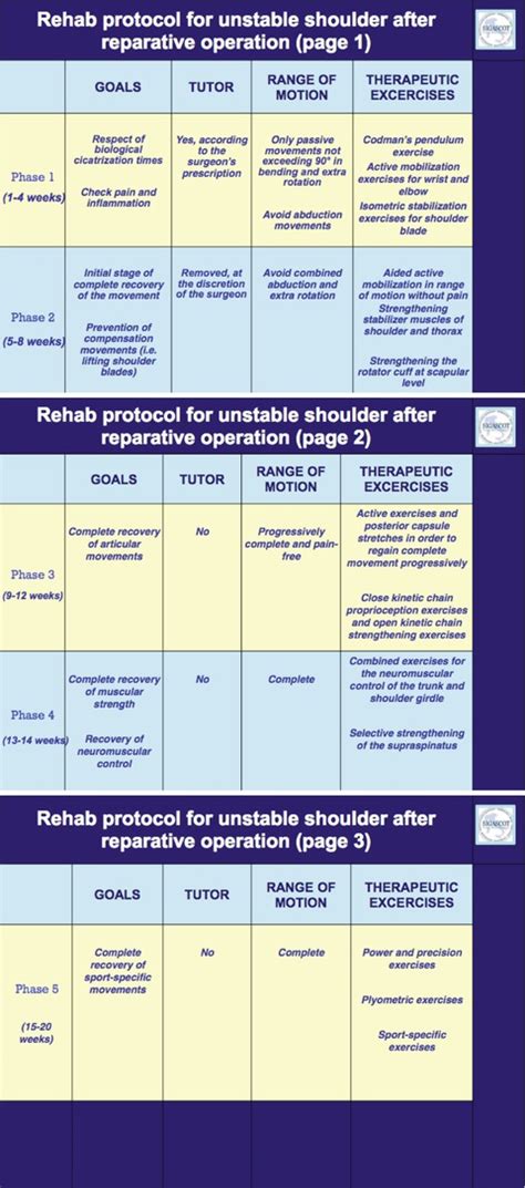 Return To Sport After Shoulder Arthroscopy Musculoskeletal Key