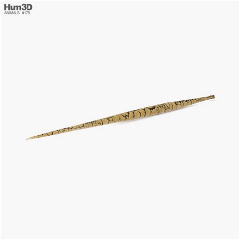 Common Python Low Poly Rigged 3d Model Download Reptile On