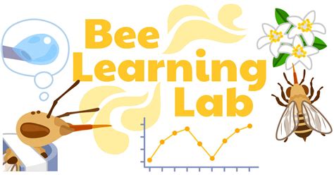 Identifying A Bee For Education The Laboratory Oxford Bee Lab