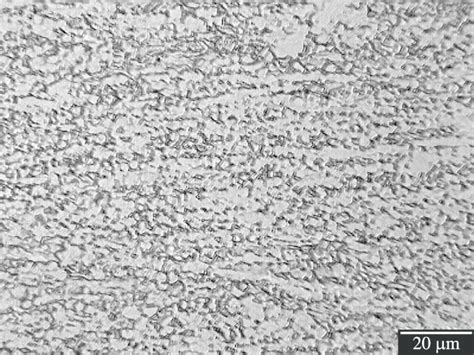 Microstructure Of The Investigated Ti 6al 4v Alloy Fully Equiaxed Download Scientific Diagram