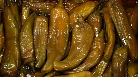 풋고추는 무조건 많이 사와서 이렇게 만들어 드셔보세요 1년 보관해도 짜지 않고 딱 맛있는 삭힌고추 담그는법🥇 평생 써먹는 삭힌풋고추 맛있게 만드는 법 삭힌고추무침