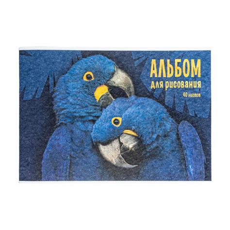 Альбом для рисования А4 40 листов в ассортименте купить через интернет витрину Fix Price