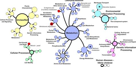 Heritability Of Inferred Metagenome Content Metagenome Functional