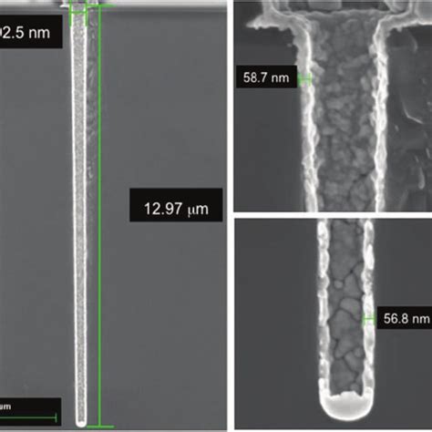Cross Sectional Sem Image Showing Highly Conformal Step Coverage Of Download Scientific Diagram Cross Sectional Sem Image Showing Highly Conformal Step Coverage Of Download Scientific Diagram