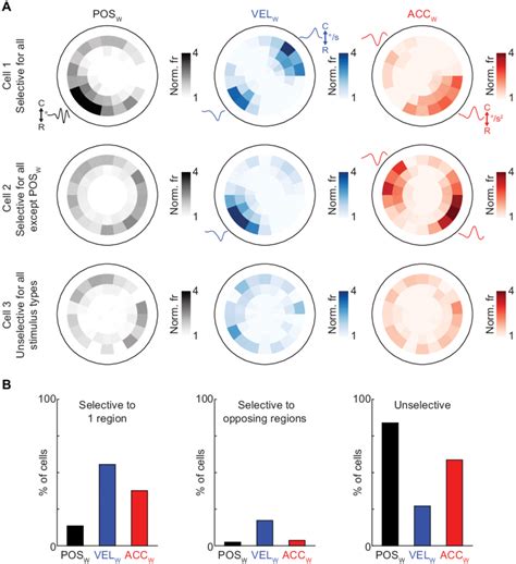 Spectral Equalization In The Velocity Domain Unmasks Feature Download Scientific Diagram