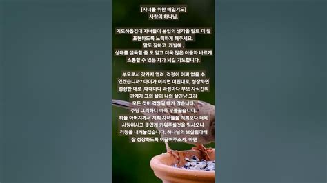 자녀를 위한 기도매일기도청소년을 위한 기도자식을 위한 기도shorts Youtube