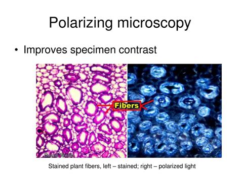 Ppt Chapter 7 Powerpoint Presentation Free Download Id 1064826