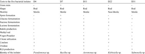 Identification Of The Strongest Dye Decolorizing Bacteria Isolated From Download Scientific