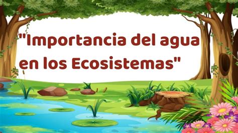 Esquema De Un Ecosistema Colombia Verde