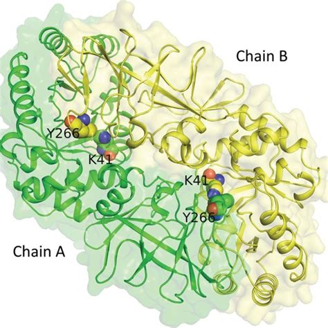 Pdf Ps 2 Protein Structure Prediction Server Version 3 0