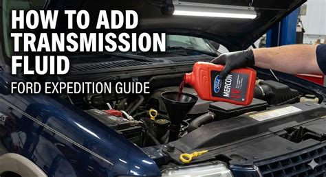 How To Add Transmission Fluid Ford Expedition 1997 2026
