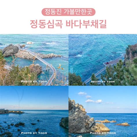 강릉 정동진 가볼만한곳 정동심곡 심곡항 바다부채길 네이버 블로그