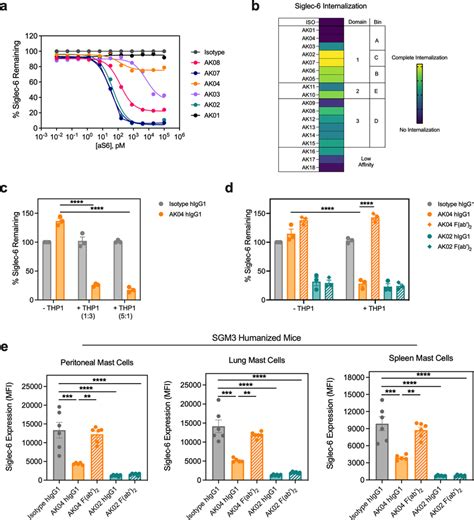 Siglec 6 Mabs Show Epitope Dependent Receptor Internalization