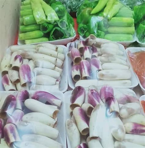 كافيه قعدة بنات