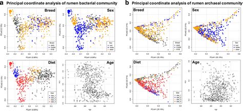 Factors Breed Sex Diet And Age Drive Segregation Of Rumen Download Scientific Diagram