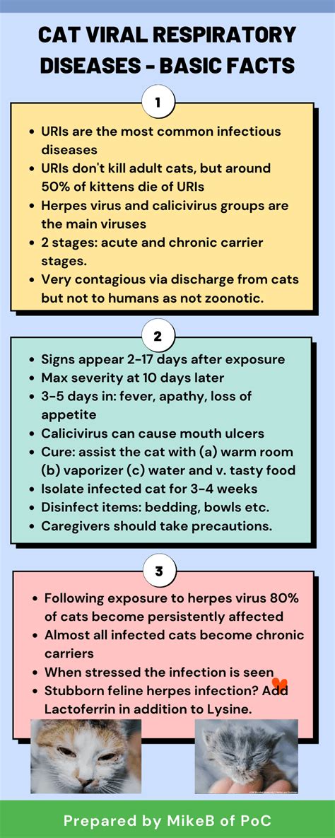 Infographic On Uris In Domestic Cats Michael Broad
