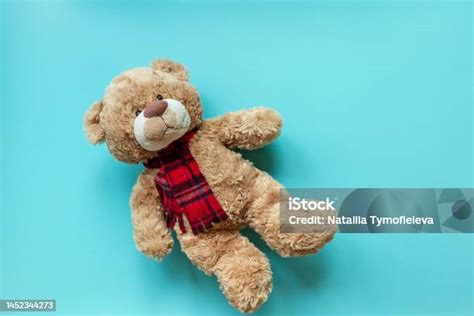 테디 베어 나무 장난감 파란색 배경에 미취학 아동을 위한 블록 유치원 유치원 또는 탁아소용 장난감 텍스트 공간을 복사합니다 평면도 클로즈업 0명에 대한 스톡 사진 및 기타