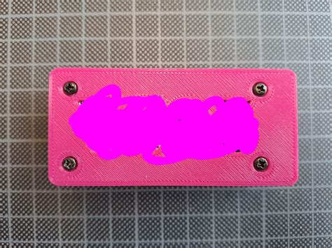 New Case R Pwnagotchi