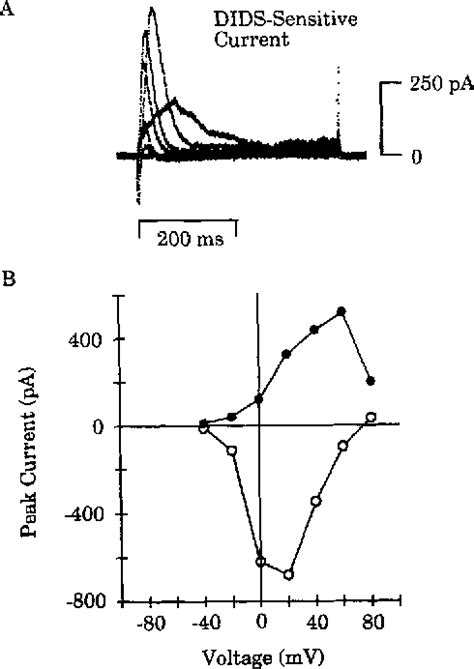 Figure 5 From Properties Of The Calcium Activated Chloride Current In Heart Semantic Scholar