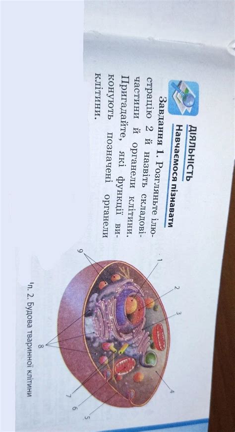 допоможіть будь ласка дуже срочно Школьные Знания Com