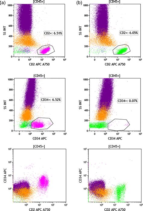Labcorp Test Menu Flow Cytometry At Mike Friddle Blog