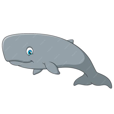 Premium Vector Cute Sperm Whale Cartoon Illustration