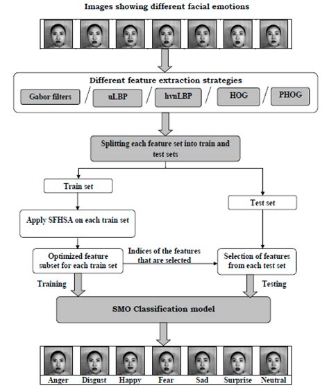Feature Selection For Facial Emotion Recognition Using Cosine
