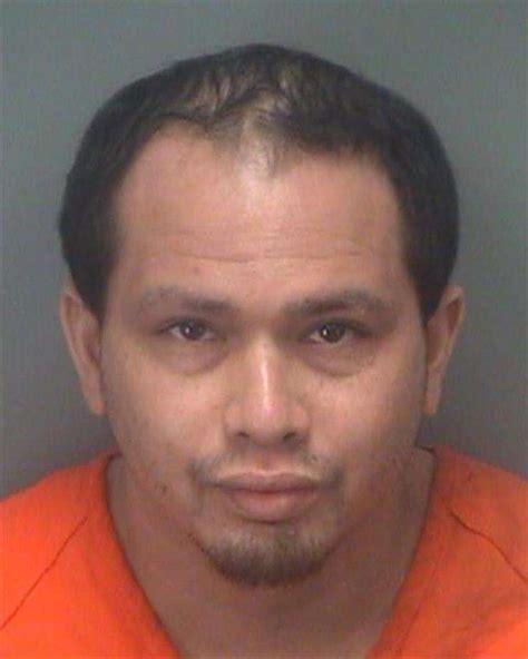 Pinellas Park Band Teacher Charged W Sex Crimes The Gabber Newspaper