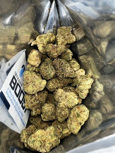 Bargain Brand Gelato 33 Earthy And Gassy 7g Rtheocs
