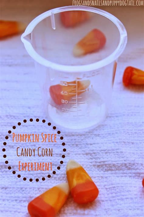 Pumpkin Spice Candy Corn Science Experiment Fspdt