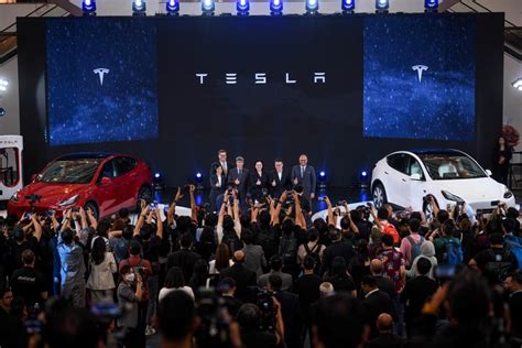 Bookings For Model Y Fake News Says Tesla