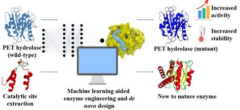 Machine Learning Meets Enzyme Engineering Examples In The Design Of