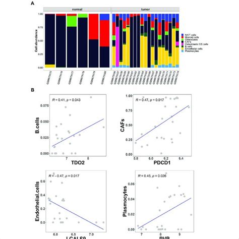 Collection Of Differential Cell Types A The Cibersort Algorithm Was Download Scientific