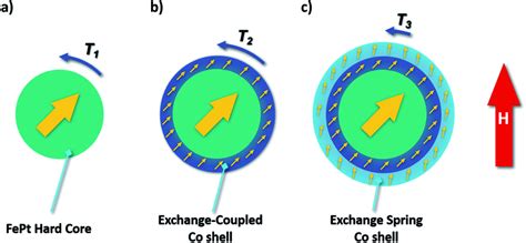Schematic Diagram Of The Orientation Process Of Core Shell Nanoparticles Download Scientific