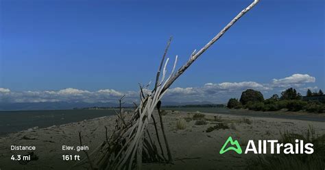 Motueka Sandspit Walk Nelson Tasman New Zealand 16 Reviews Map Alltrails