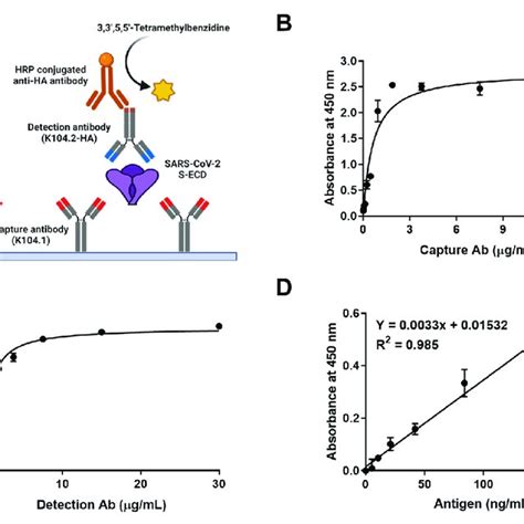 Development And Characterization Of Sars Cov 2 Spike Protein Specific Download Scientific