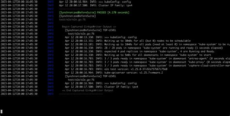 When Running E2e Tests The Test Case Being Executed Are Stuck And Are