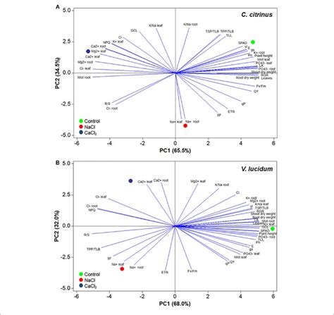Principal Component Loading Plot And Scores Of Principal Component