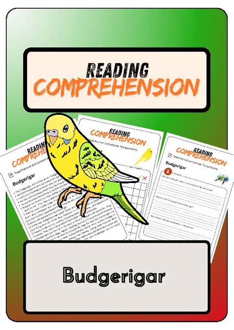 reading comprehension budgerigar solutions by learnplanet tpt
