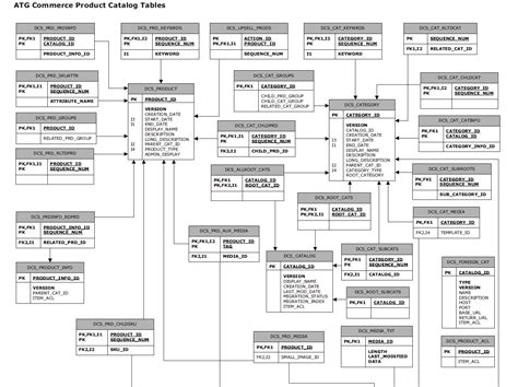 Entity In Er Diagram