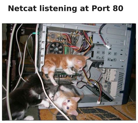 Sune A On Linkedin Netcat Best Hacker Tool