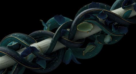 Regenerative Design → Term